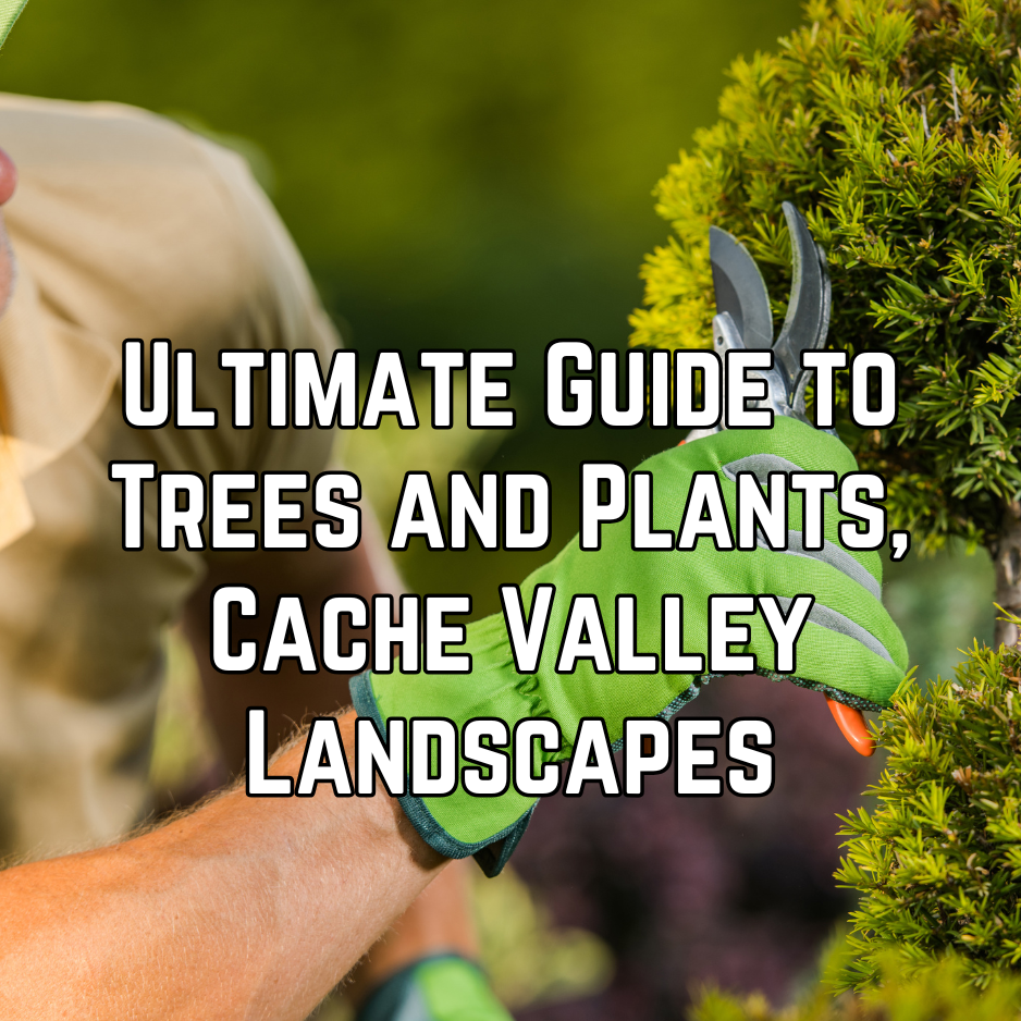 Ultimate Guide to Trees and Plants, Cache Valley Landscapes - Green ...